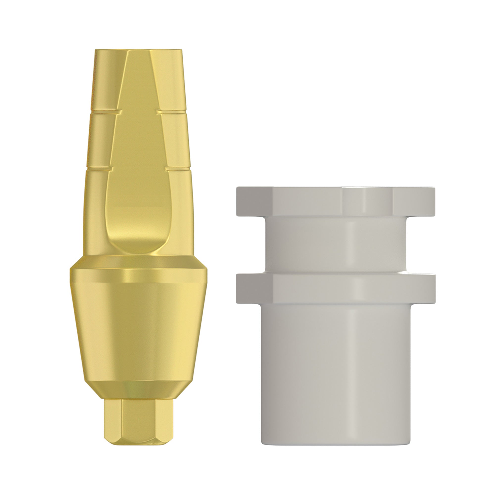 Snap-On Anatomic Transfer – Shop DSI Online