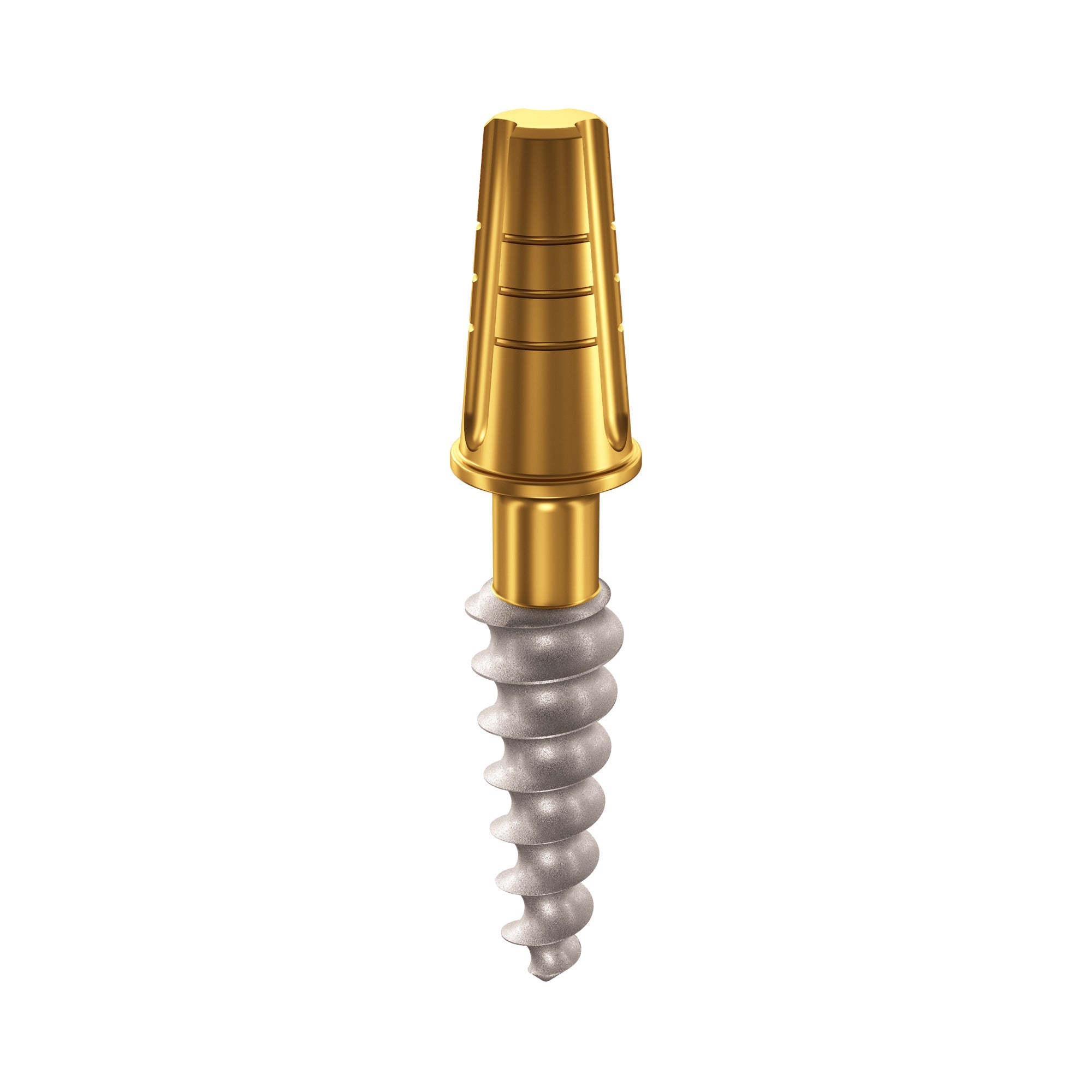 One-Piece Root-shaped Implant – Shop DSI Online