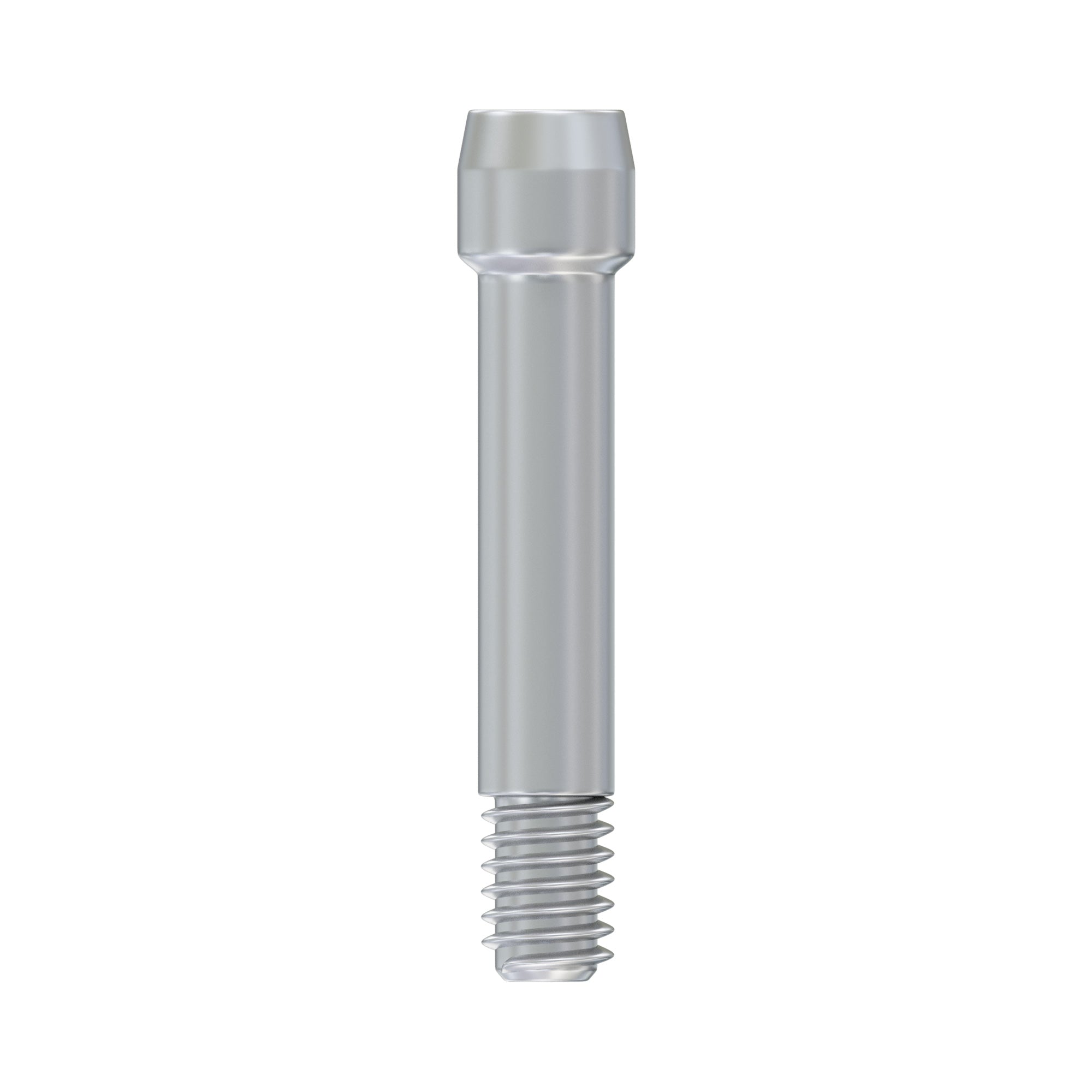 Fixation Screw – Shop DSI Online