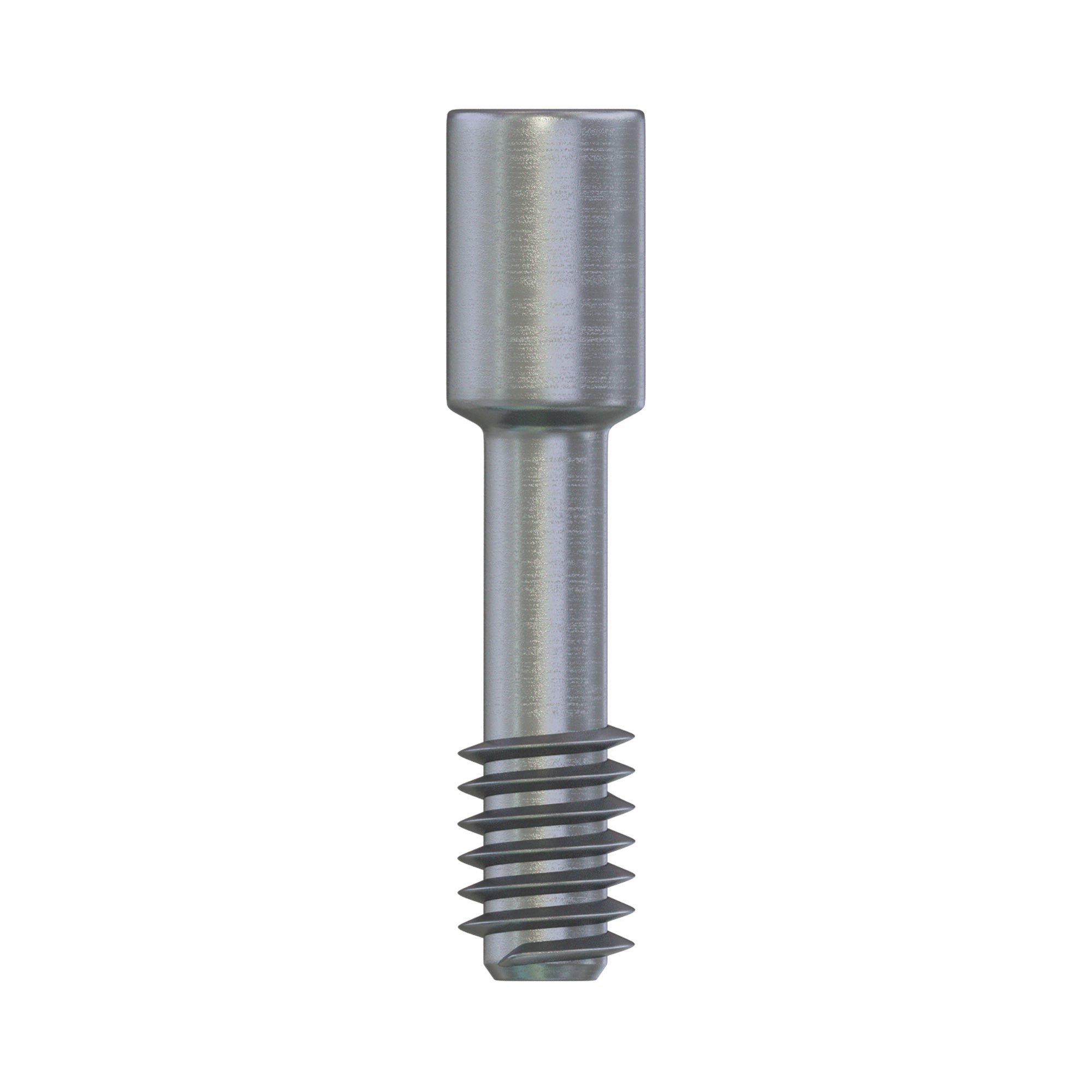 Abutment Fixation Screw CC RP – Shop DSI Online