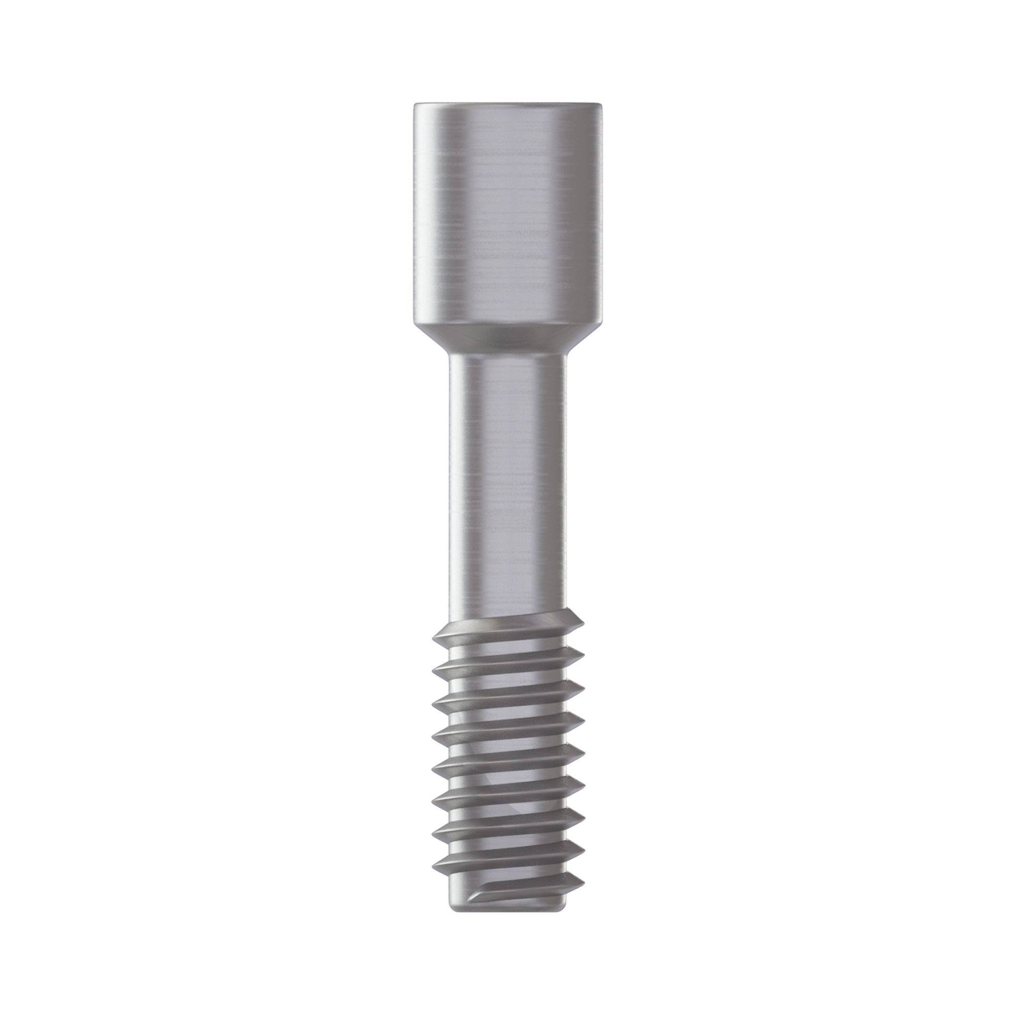 Abutment Fixation Screw Ø2.42mm – Shop DSI Online